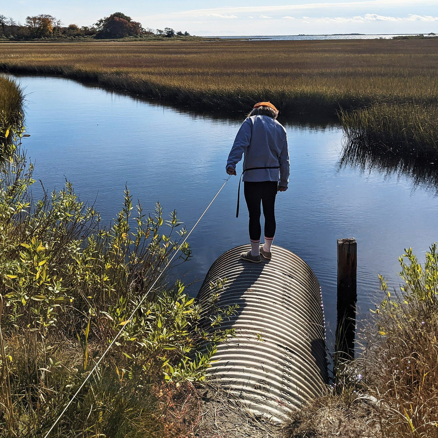 Hiking On The Coast At Barn Island, Saltwater Farm Vineyard Picnic ...